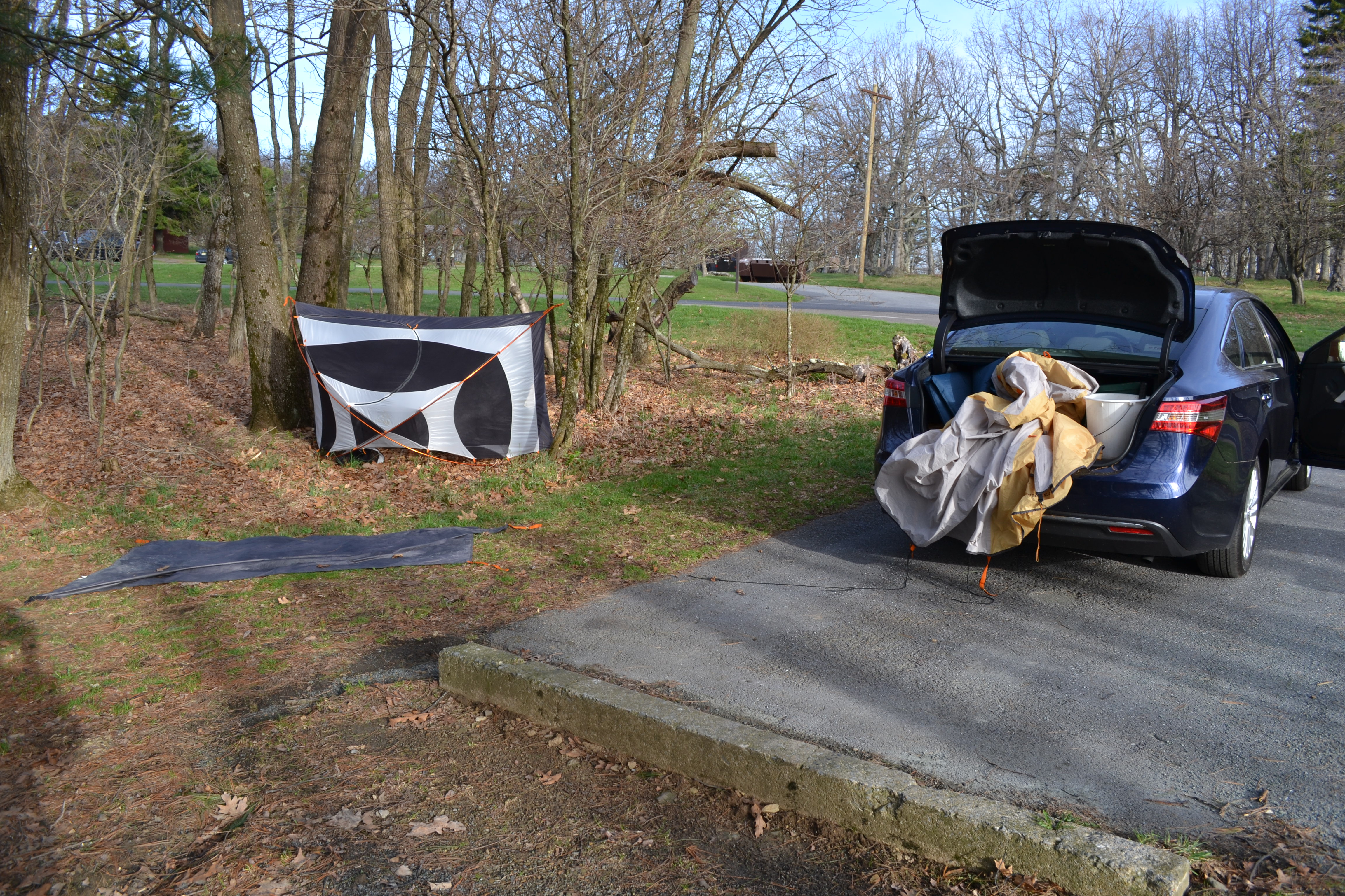 Some Campsite Vignettes | Danny Forrest