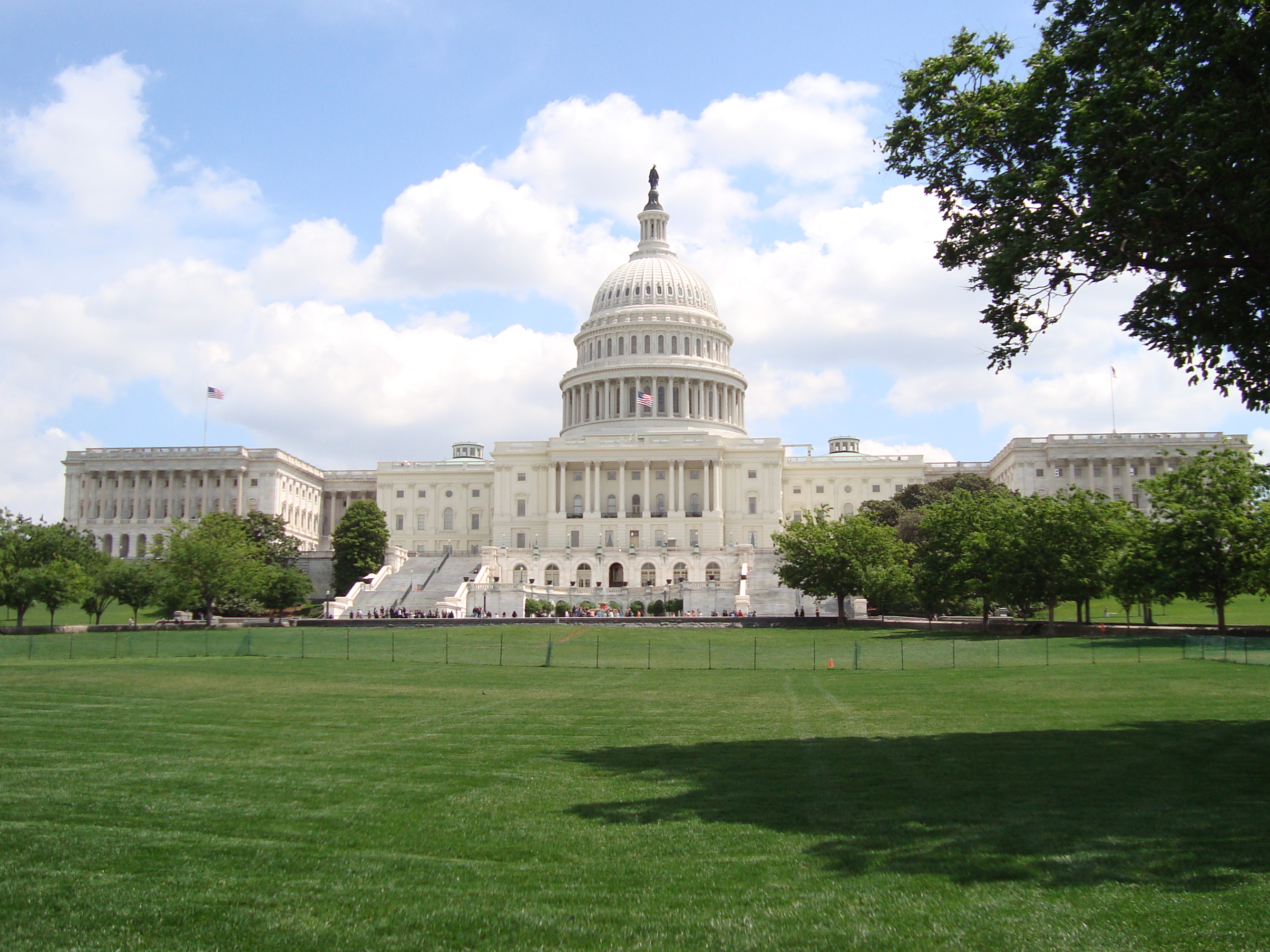 Danny Forrest | A Record of Who I Am